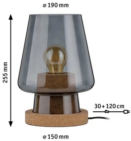 Paulmann 79736 - 1xE27/20W Stolní lampa IBEN 230V kouřová