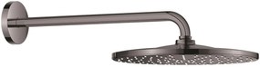 Grohe Rainshower - Hlavová sprcha, průměr 31 cm, Hard Graphite 26558A00