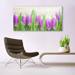 Plexisklo-obraz Tulipány Květiny Příroda 120x60 cm