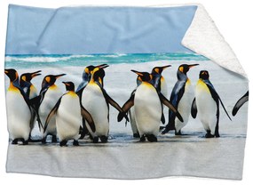 IMPAR Fleecová deka Tučňáci 150x120 cm (Rozměr : 150 x 120 cm, Podšití beránkem: ANO)
