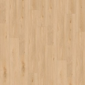 Gerflor CREATION 30 - 1704 Aquinoah Blond 3,36 m²