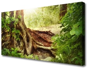 Obraz na plátně Strom Kmen Příroda Les 100x50 cm