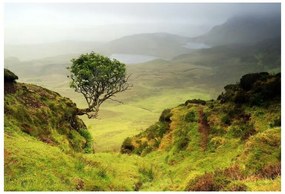 Fototapeta Isle of Skye Skotsko 104x70