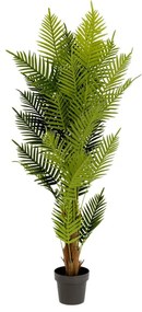 Umělá rostlina Kave Home Fern, výška 150 cm