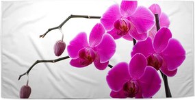 Sablio Ručník Fialové orchideje - 30x50 cm