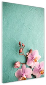 Wallmuralia Vertikální Fotoobraz na skle Růžová orchidej 50x100