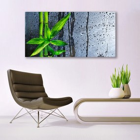 akrylový obraz Bambus List Rostlina Příroda 120x60 cm