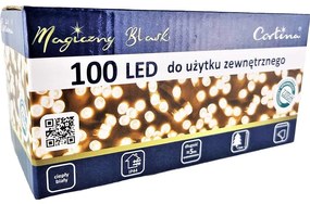 VIANOCNI OSVETLENI LED 100L 652/21 WW