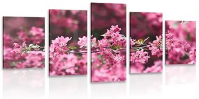 5-dílný obraz detailní květiny třešně - 100x50 cm