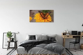 Obrazy na plátně Barevný motýl květina 120x60 cm