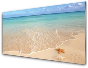 Obraz na skle Pláž Hvězdice Krajina 140x70 cm