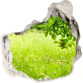 Wallmuralia Nálepka fototapeta 3D výhled Zelená louka 75x75 cm