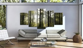 Pětidílný obraz les + háčky a hřebíčky ZDARMA Velikost (šířka x výška): 200x100 cm