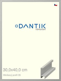 DANTIK rámeček 30x40 | ALU profil 6035 Dýha barevná šedá (Plexi Čiré)