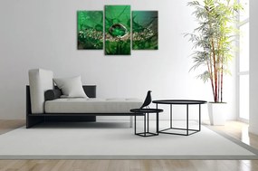 Obraz kapky rosy Green Velikost (šířka x výška): 90x70 cm