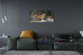 Obrazy na plátně tygr džungle 120x60 cm