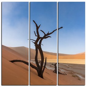 Obraz na plátně - Mrtvý strom v dunách - čtverec 3130B (105x105 cm)