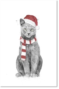 Gario Obraz na plátně Vánoční kočka v červené čepici - Rykker Rozměry: 40 x 60 cm