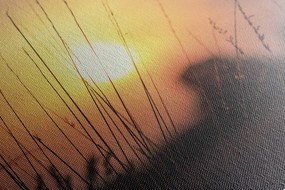 Obraz východ slunce nad loukou Varianta: 120x80