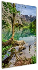 Wallmuralia Vertikální Foto obraz skleněný svislý Jezero v horách 50x100