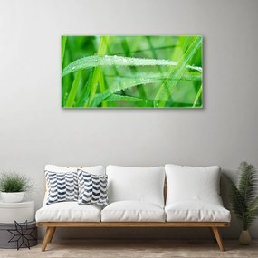 Obraz na skle Listy Kapky Rosy Příroda 120x60 cm
