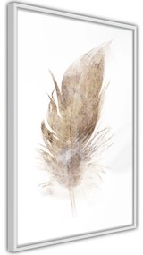 Artgeist Lost Feather (Beige) Velikosti (šířkaxvýška): 30x45, Finální vzhled: Černý rám s paspartou