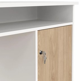 Psací stůl Felix 491 bílá/jackson hickory