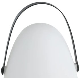 Eglo 48841 - LED Venkovní stolní lampa COLLIRADOS LED/3xAA IP44