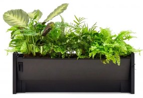 LIKO-S a.s. Plantbox 1 ks - truhlík pro vertikální pěstování