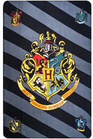 Jerry Fabrics Deka Harry Potter, 100 x 150 cm