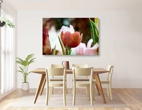 Obraz louka tulipánů v retro stylu - 90x60 cm
