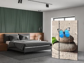 Paraván kameny a motýl Rozměr: 135 x 180 cm