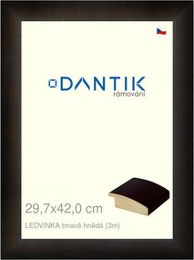 DANTIK rámeček 29,7x42 | LEDVINKA tmavě hnědá (Plexi Čiré)