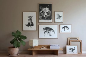 Teemu Järvi Plakát s motivem medvěda Mysterious bear 50x70