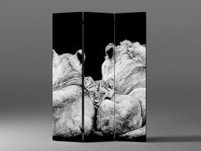 Liox Černobílý paraván lví rodina Rozměr: 135 x 180 cm