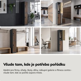 Šatní skříňka BHP, zaměstnanecká, jednotlivá, 2 schránky s tyčí, antracitová/ořech, 316,5x1850x450 mm: IGOR 1 Plus Eco Design