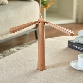 Přenosná světelná dekorace na USB v přírodní barvě Dragonflight – Gingko