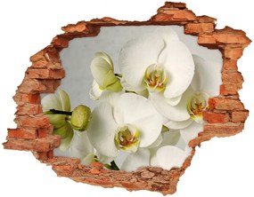 Wallmuralia Samolepící díra nálepka Bílá orchidej 90x70 cm