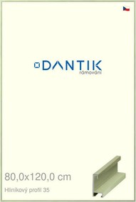 DANTIK rámeček 80x120 | ALU profil 6035 Dýha barevná zelená pastel (Plexi Čiré)