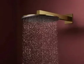 Hansgrohe Raindance Alive S - Hlavová sprcha | průměr 30 cm | 2 proudy