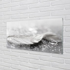 akrylový obraz Kapky peří makro 100x50 cm