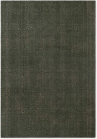Ted Baker, Kusový koberec Ted Baker Greenwich 106364 Green, 200x300, zelená, dětský pokoj