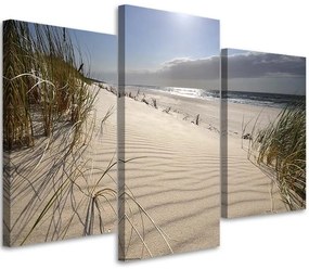 Gario Obraz na plátně Duny na pláži - 3 dílný Rozměry: 60 x 40 cm