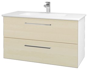Dřevojas Koupelnová skříň GIO SZZ2 100 Varianta: N01 Bílá lesk / Úchytka T04 / D02 Bříza