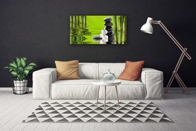 Obraz na plátně Bambus Kameny Rostlina 125x50 cm