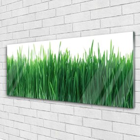 akrylový obraz Tráva Příroda Rostlina 125x50 cm