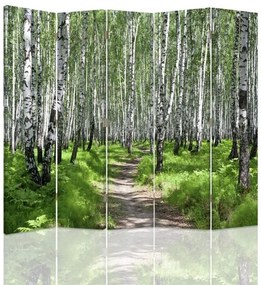 Gario Paraván Cesta březovým lesem Rozměry: 180 x 170 cm, Provedení: Klasický paraván