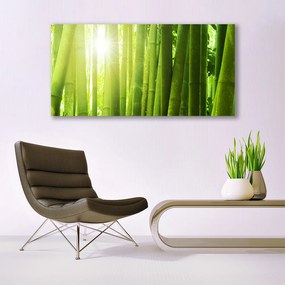 akrylový obraz Bambus Rostlina 120x60 cm