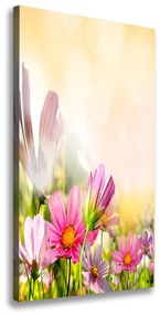 Wallmuralia Vertikální Foto obraz canvas Polní květiny 50x100