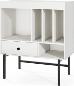 Costway Skříňka na gramofon se zásuvkou a držáky desek, bílá